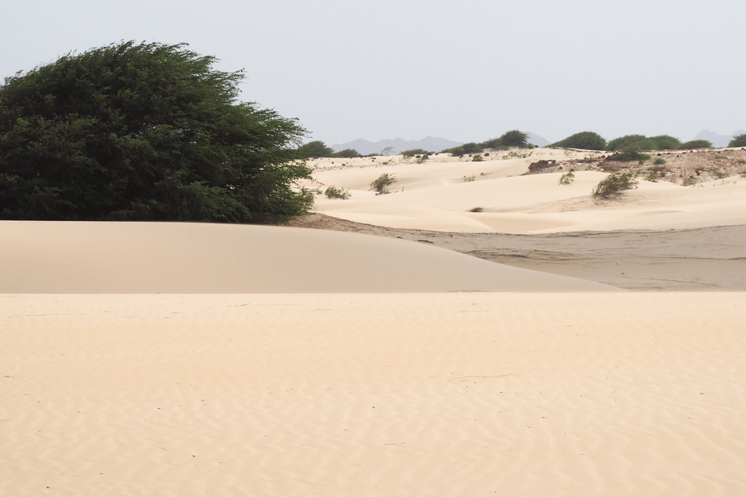 Désert de Viana – Boa Vista (Cap Vert) | Merci pour le chocolat